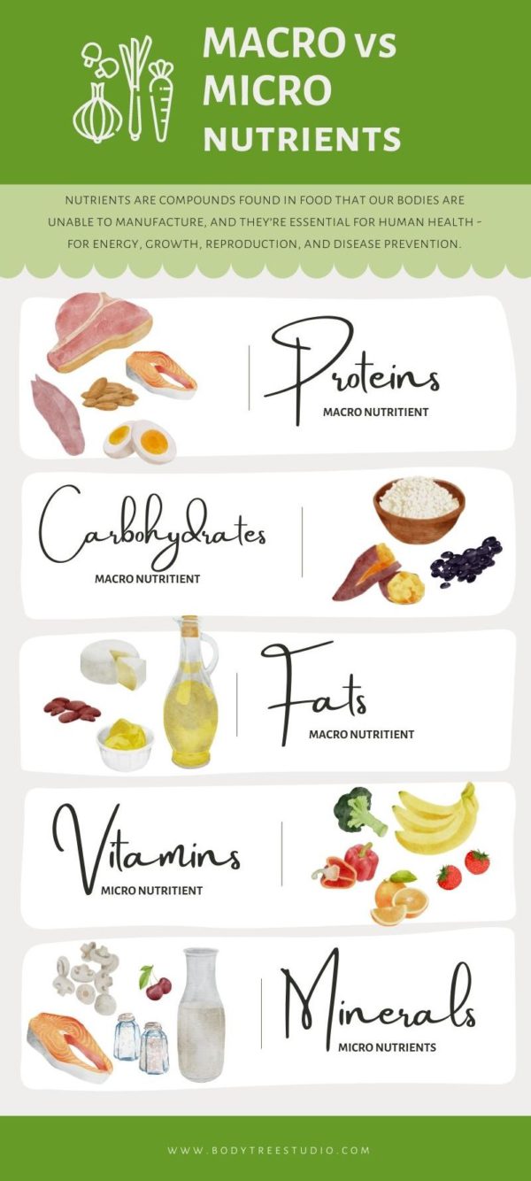 MACRO vs MICRO nutrients | Bodytree Wellness Studio